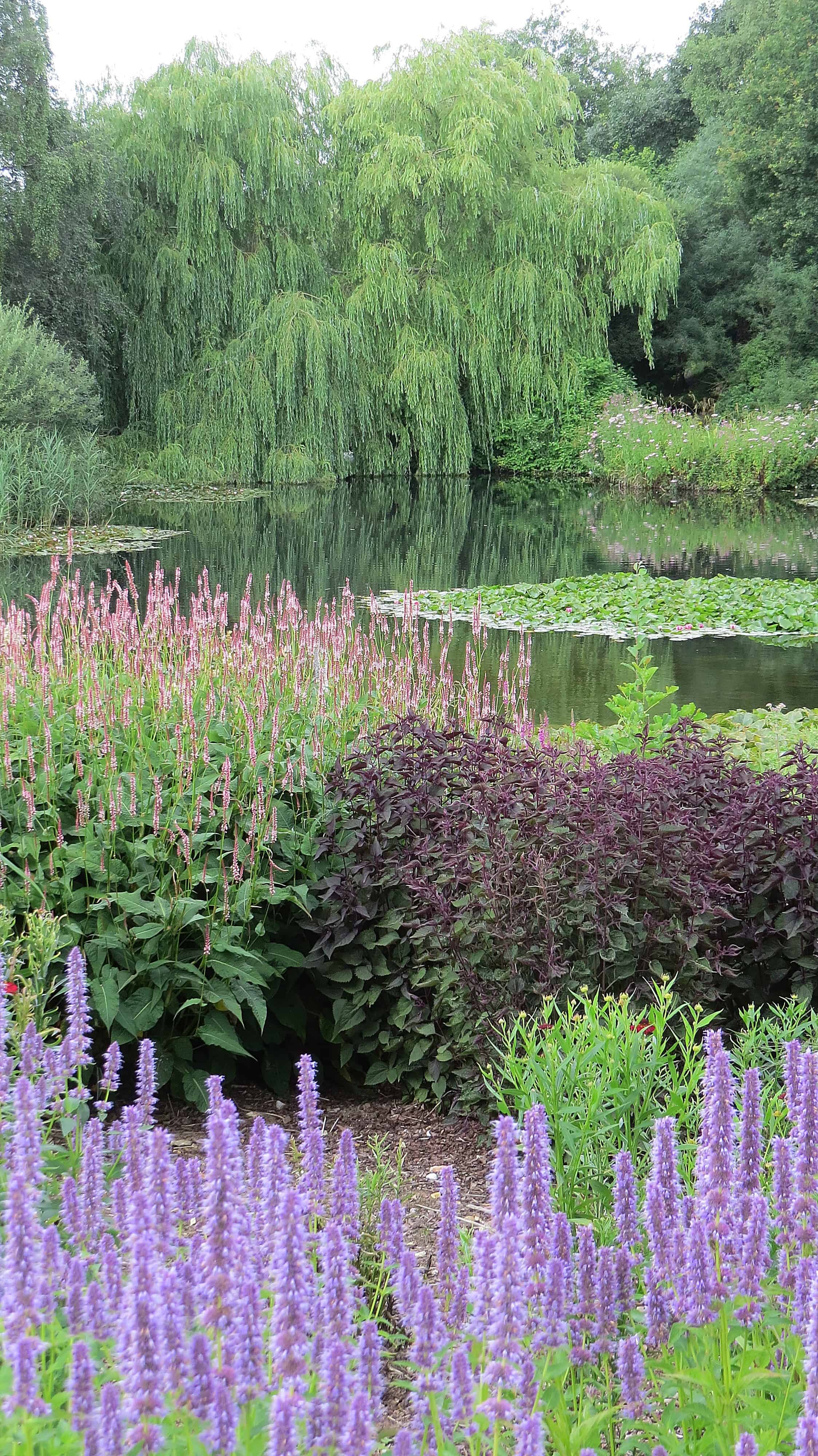 Pensthorpe – A Holistic Blueprint for the Future - The Garden Visitor