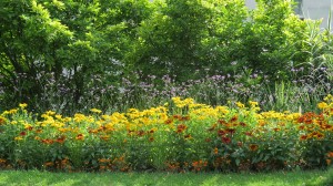 Promenade Plantee – Urban Blueprint for the 21st Century. - The Garden ...