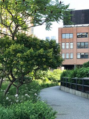 The New York High Line: Re-Imagining The City - The Garden Visitor